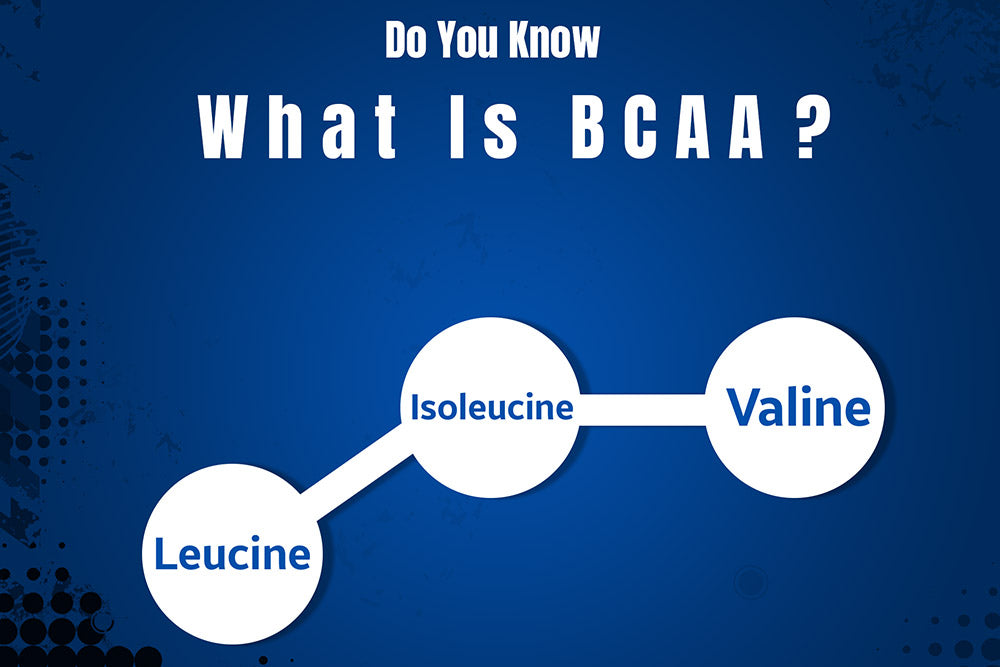 Branched Chain Amino Acids (BCAA) – Muscle Add