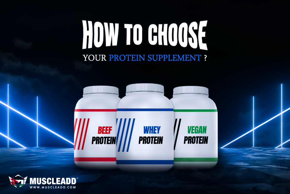 How to Choose Your Protein Supplement? – Muscle Add